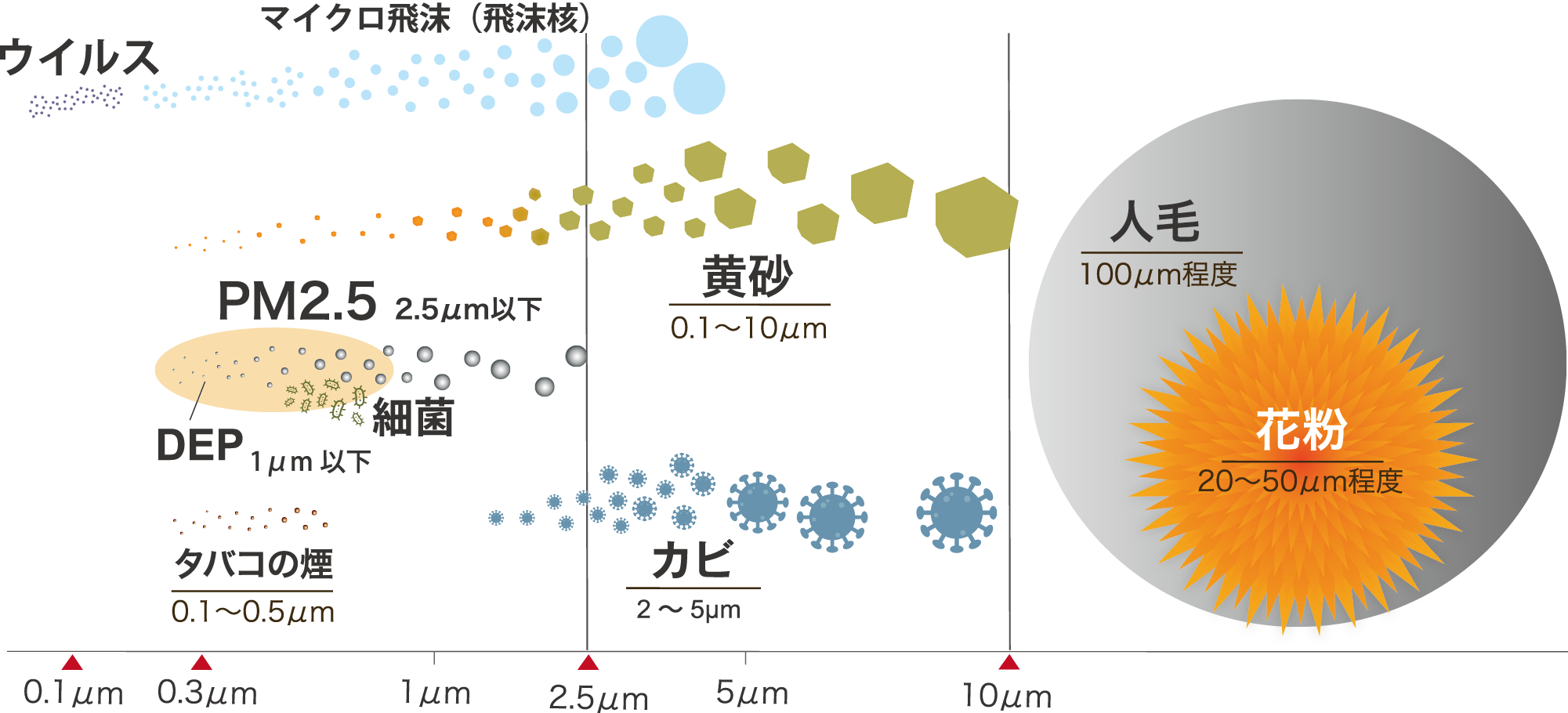 『Green oasis』 8つの循環 換気＋空気清浄 | 高気密高断熱×LCCM住宅『SaiCLE』 | 茨城・栃木